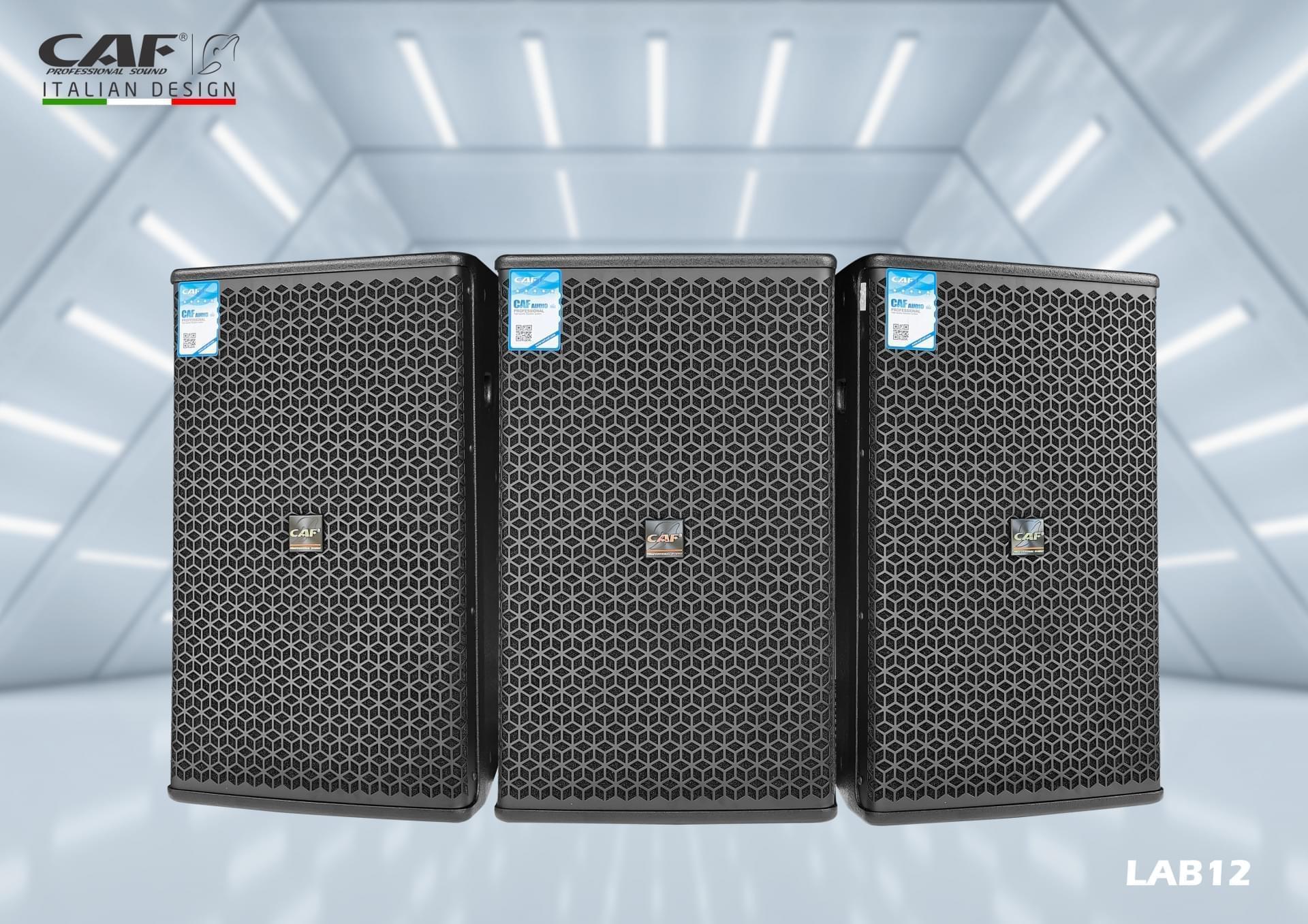 Cùng AV Việt Nam tìm hiểu về sự khác nhau giữa loa active và loa passive?